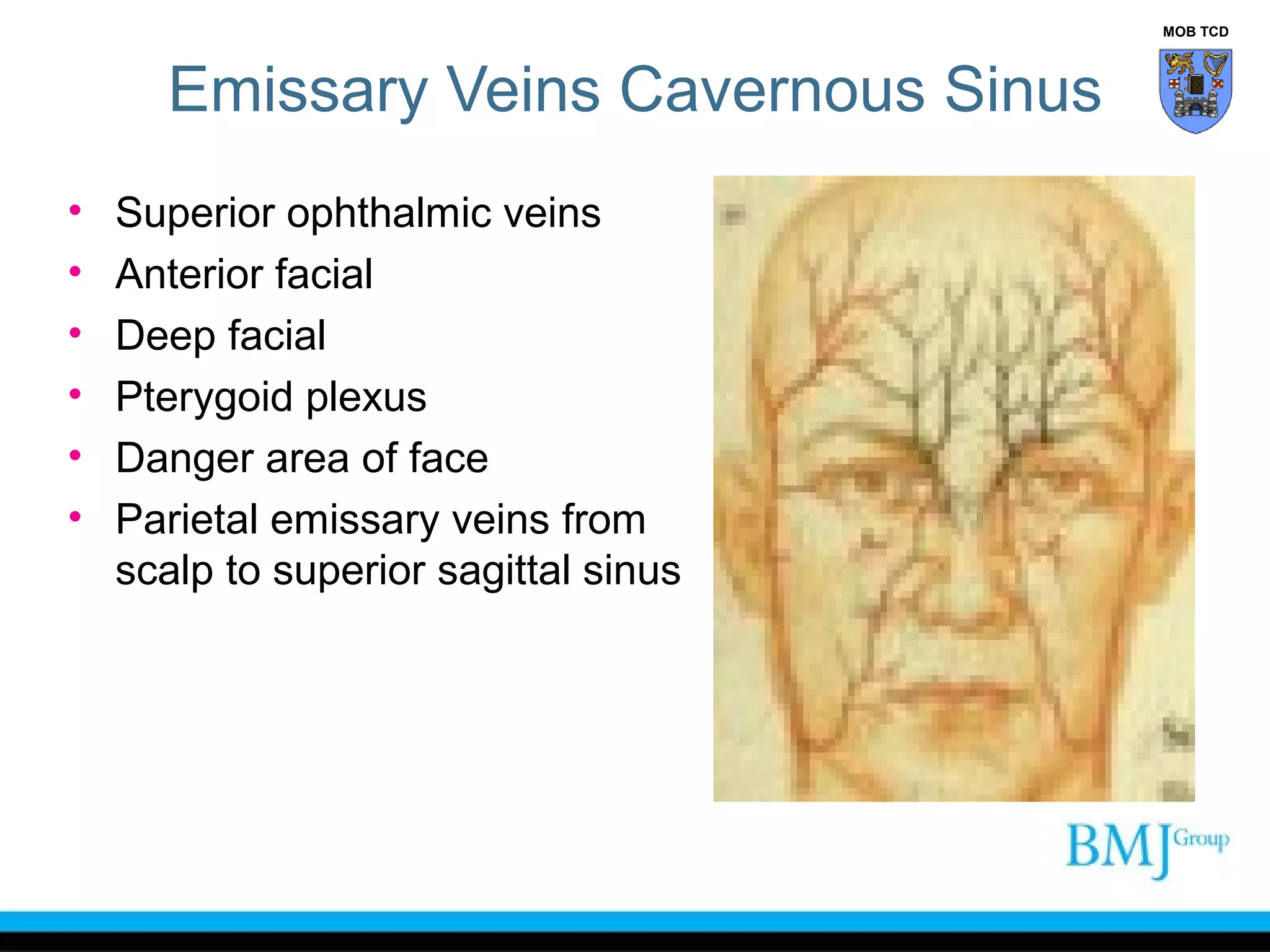 Anatomy of the face | PPT