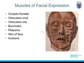 Anatomy of the face | PPT