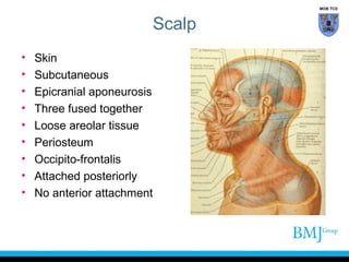 Anatomy of the face | PPT
