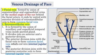 Anatomy of the face and scalp medical.ppsx
