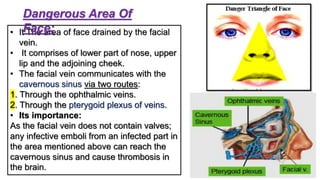 Anatomy of the face and scalp medical.ppsx