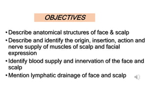 Anatomy of the face and scalp medical.ppsx