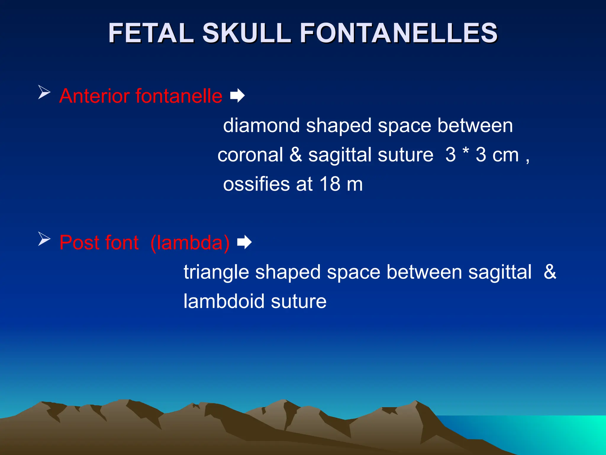 ANATOMY OF THE FEMALE BONY PELVIS and FETAL.ppt