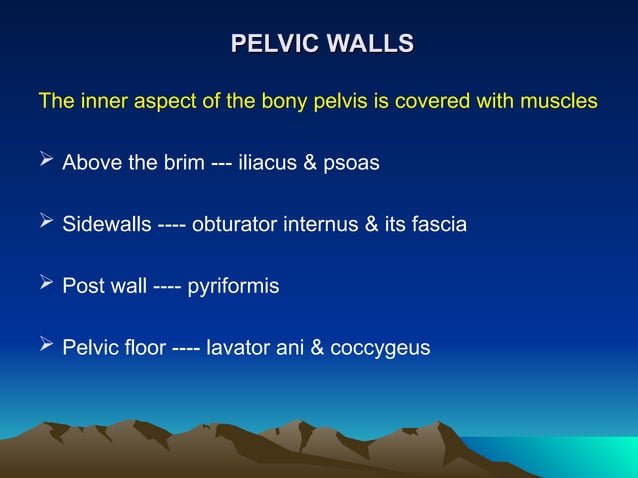 ANATOMY OF THE FEMALE BONY PELVIS and FETAL.ppt