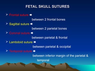 ANATOMY OF THE FEMALE BONY PELVIS and FETAL.ppt