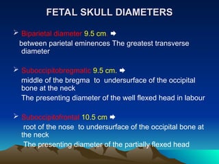 ANATOMY OF THE FEMALE BONY PELVIS and FETAL.ppt
