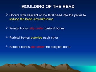 ANATOMY OF THE FEMALE BONY PELVIS and FETAL.ppt