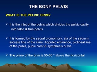 ANATOMY OF THE FEMALE BONY PELVIS and FETAL.ppt