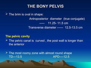 ANATOMY OF THE FEMALE BONY PELVIS and FETAL.ppt