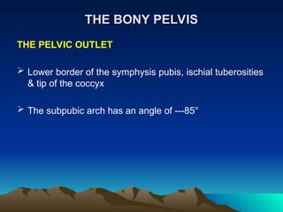 ANATOMY OF THE FEMALE BONY PELVIS and FETAL.ppt