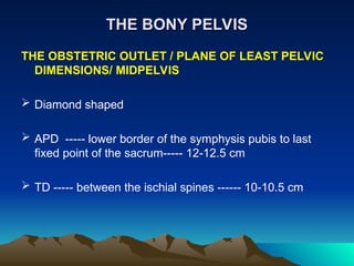 ANATOMY OF THE FEMALE BONY PELVIS and FETAL.ppt