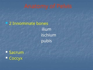 ANATOMY OF THE FEMALE BONY PELVIS and FETAL SKULL.pptx