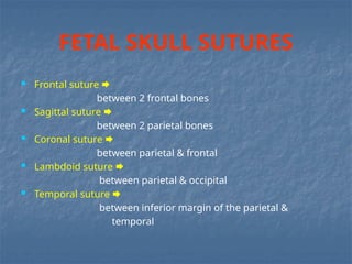 ANATOMY OF THE FEMALE BONY PELVIS and FETAL SKULL.pptx