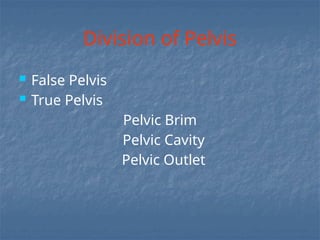 ANATOMY OF THE FEMALE BONY PELVIS and FETAL SKULL.pptx