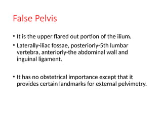 anatomy of the female bony pelvis and pelvic floor.pptx