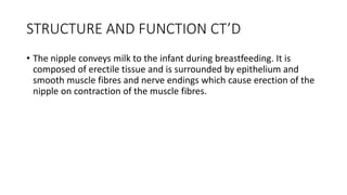ANATOMY OF THE FEMALE BREAST-Kunkeyani 2020 NMT.pptx
