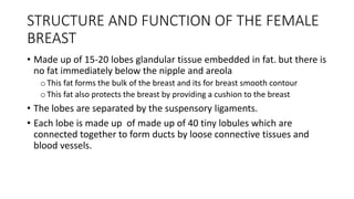 ANATOMY OF THE FEMALE BREAST-Kunkeyani 2020 NMT.pptx