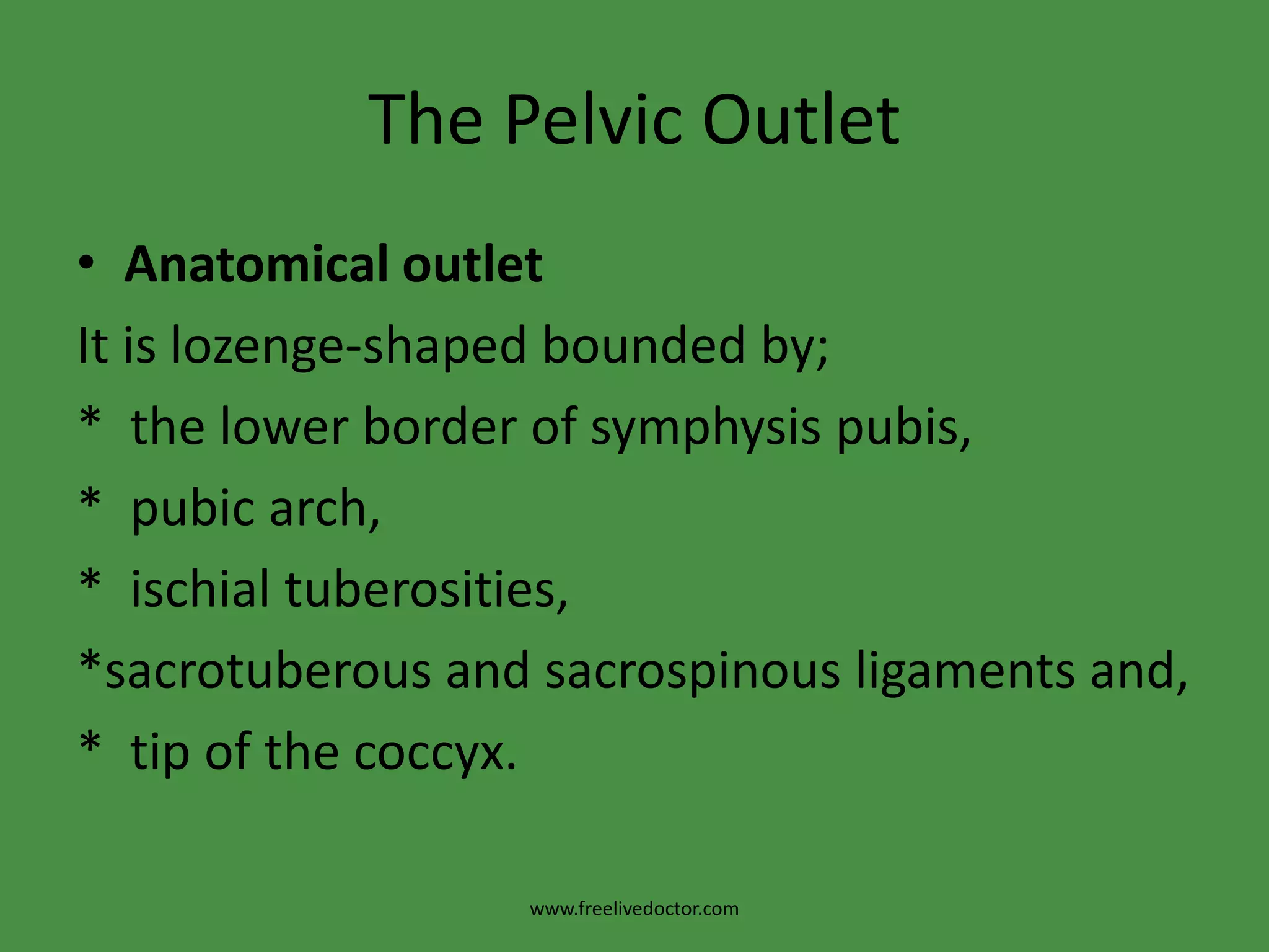 Anatomy of the female pelvis | PPTX