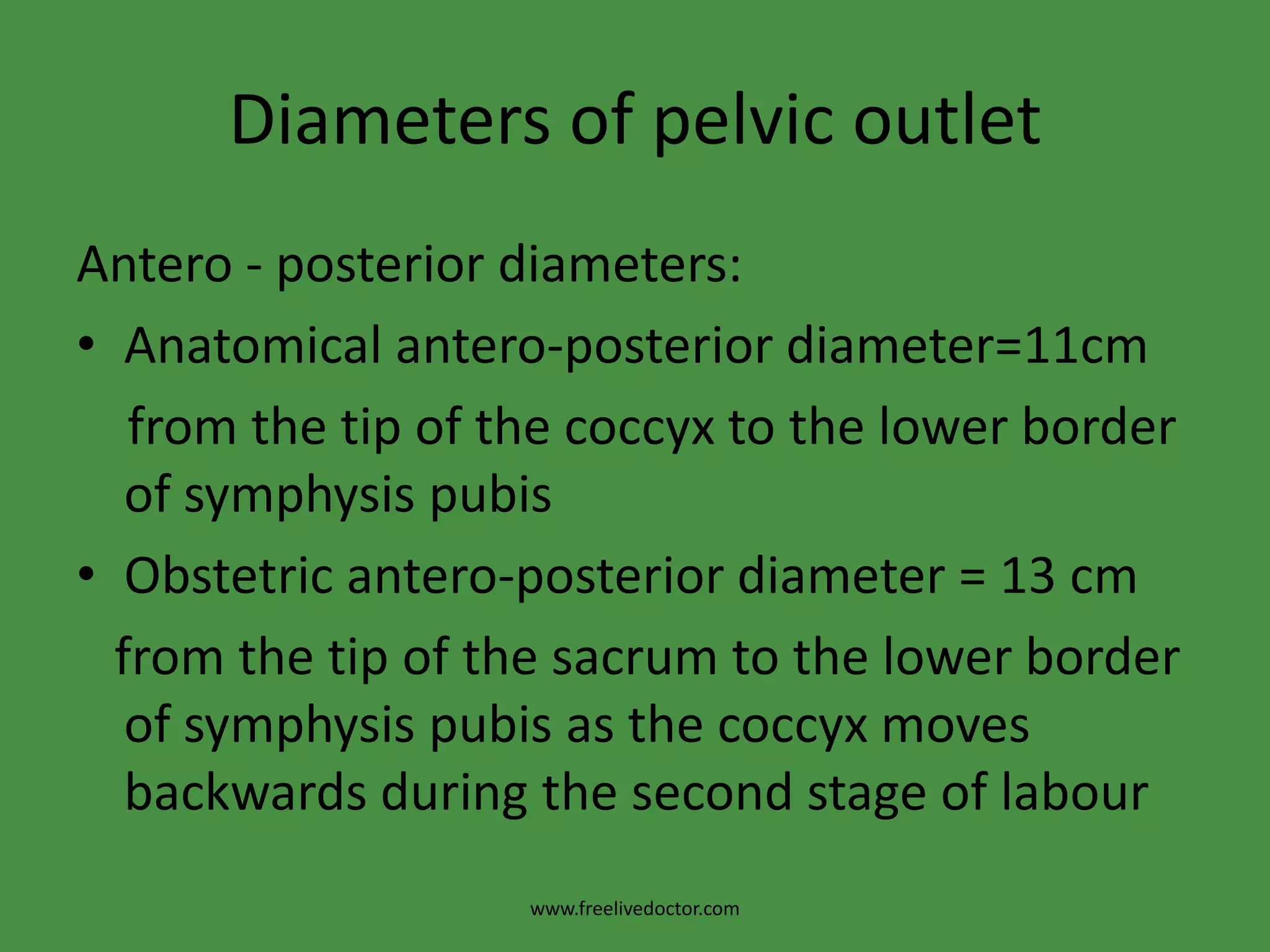 Anatomy of the female pelvis | PPTX