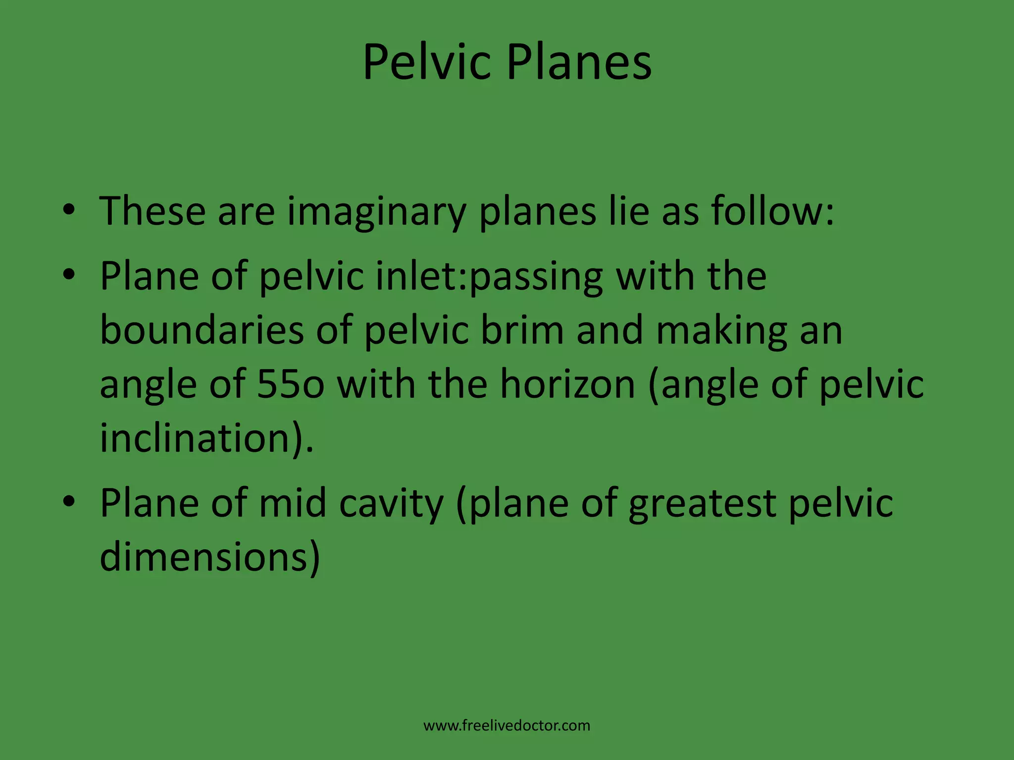 Anatomy of the female pelvis | PPTX