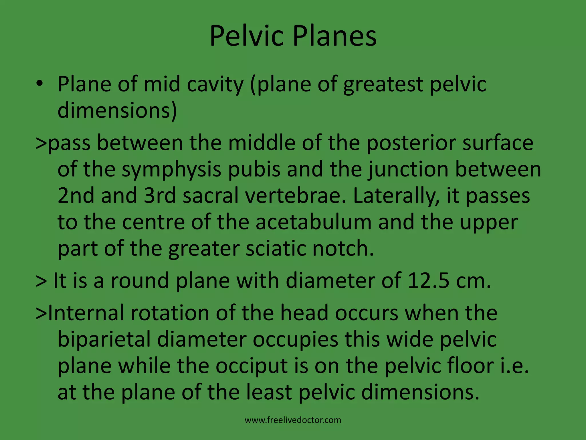 Anatomy of the female pelvis | PPTX