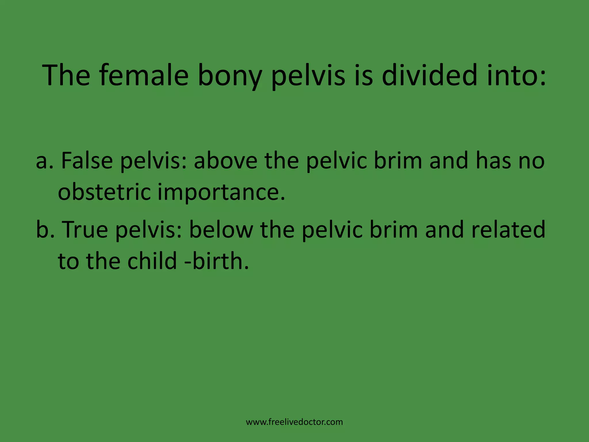 Anatomy of the female pelvis | PPTX