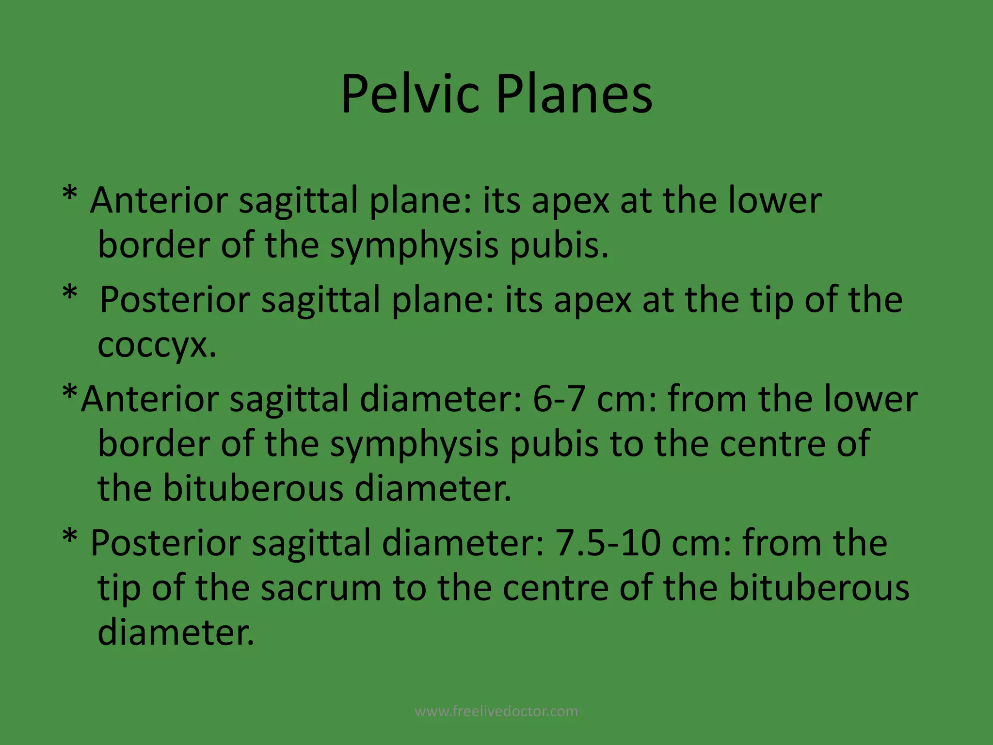 Anatomy of the female pelvis | PPTX