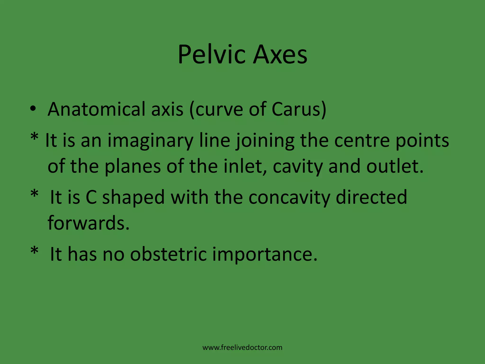 Anatomy of the female pelvis | PPTX