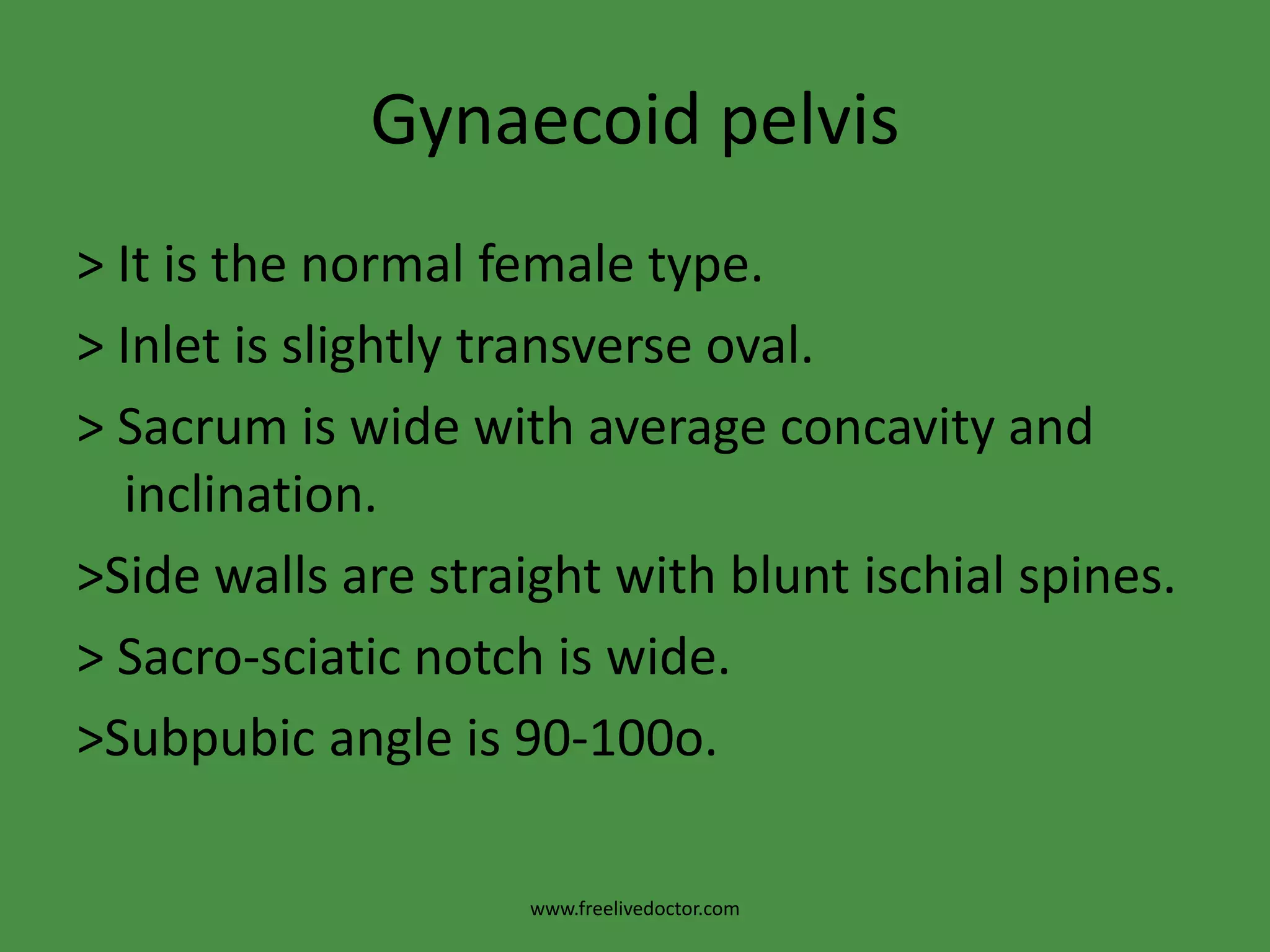 Anatomy of the female pelvis | PPTX