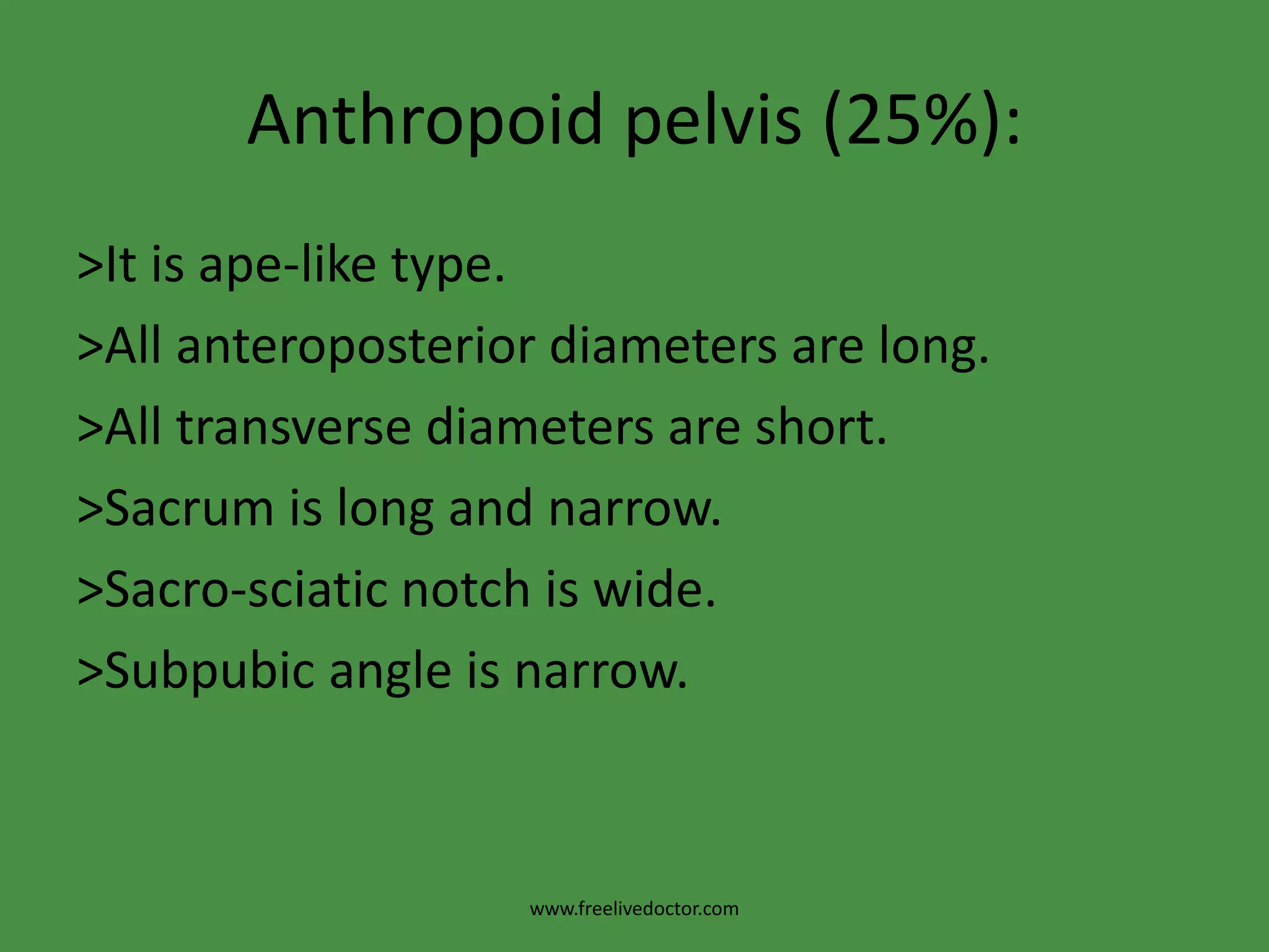 Anatomy of the female pelvis | PPTX