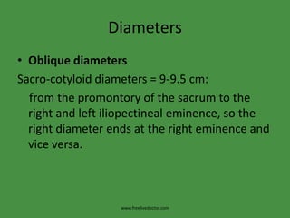 Anatomy of the female pelvis | PPTX
