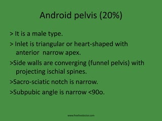 Anatomy of the female pelvis | PPTX