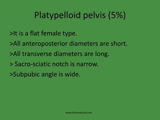 Anatomy of the female pelvis | PPTX