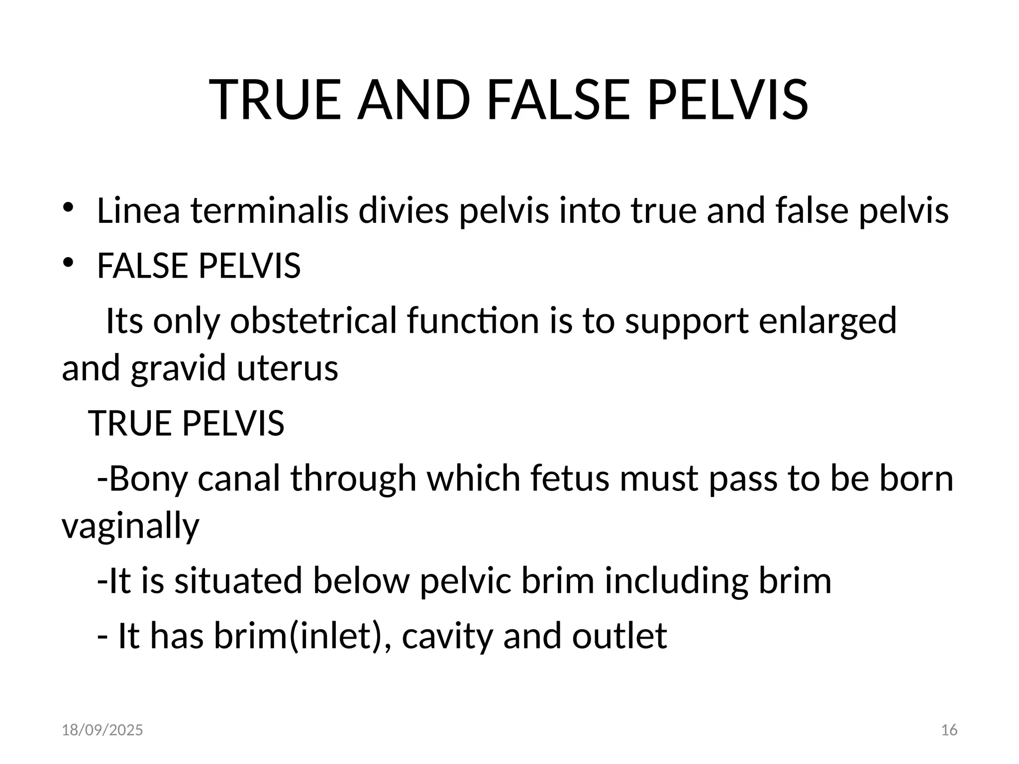 Presentation anatomy of the female pelvis.pptx