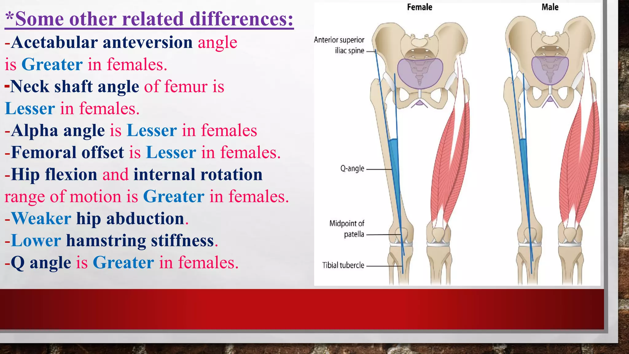 Anatomy of the female pelvis and reproductive system... | PDF