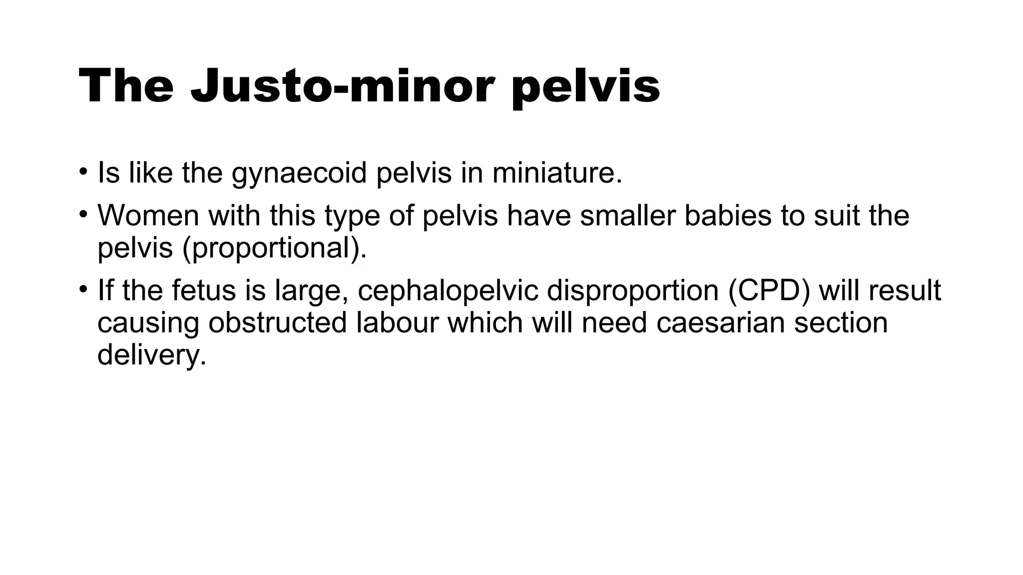 ANATOMY OF THE FEMALE PELVIS Current.ppt
