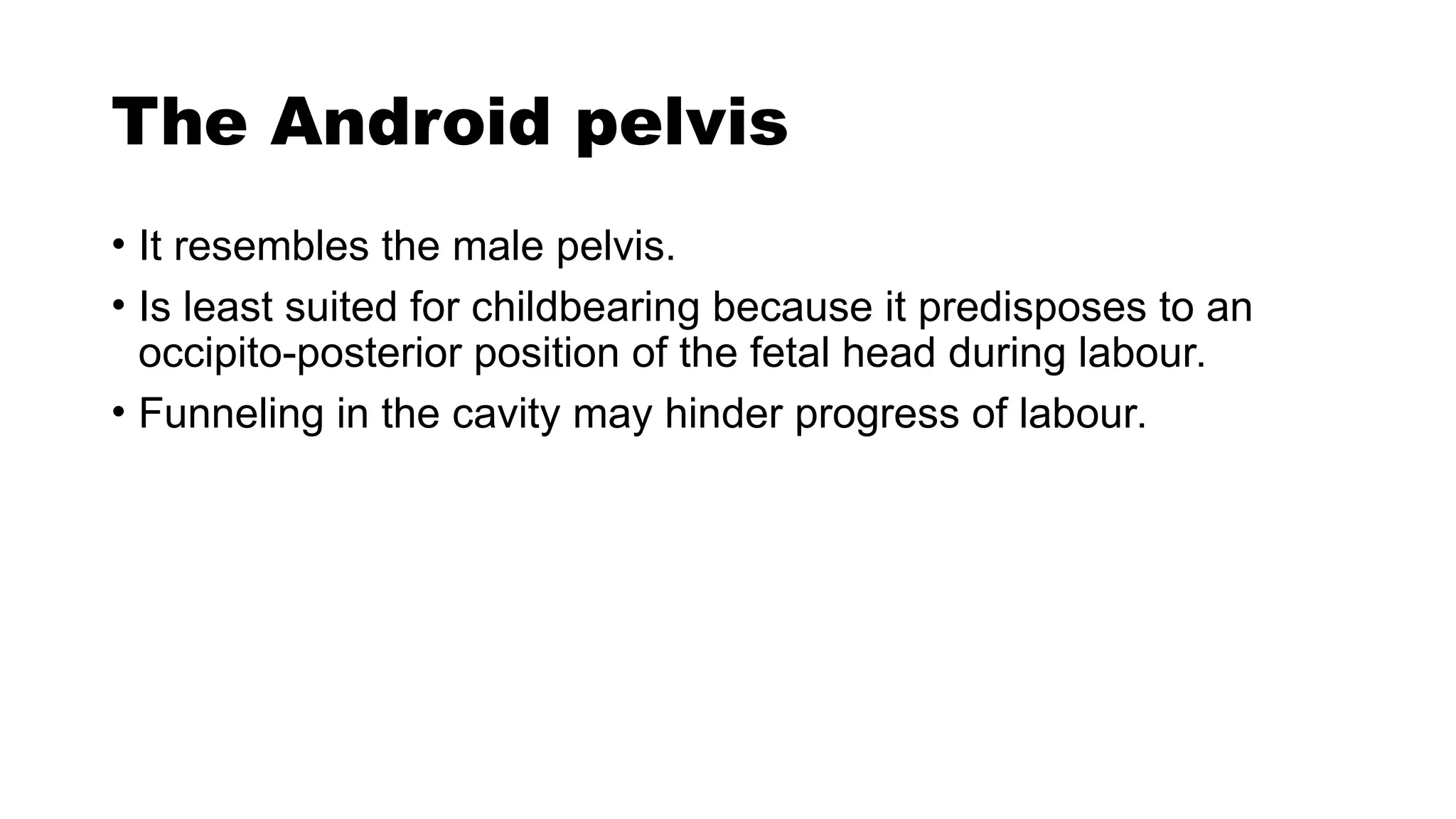 ANATOMY OF THE FEMALE PELVIS Current.ppt