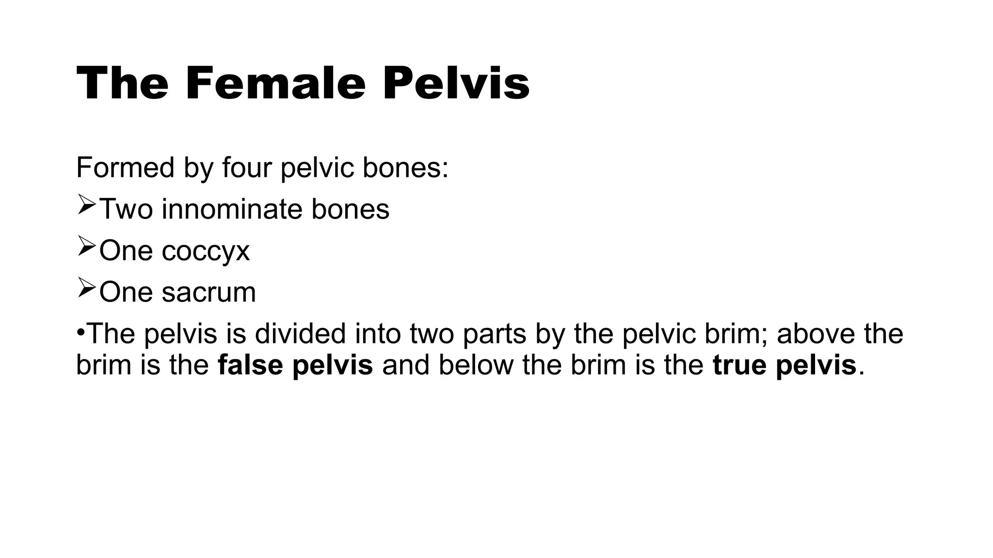 ANATOMY OF THE FEMALE PELVIS Current.ppt