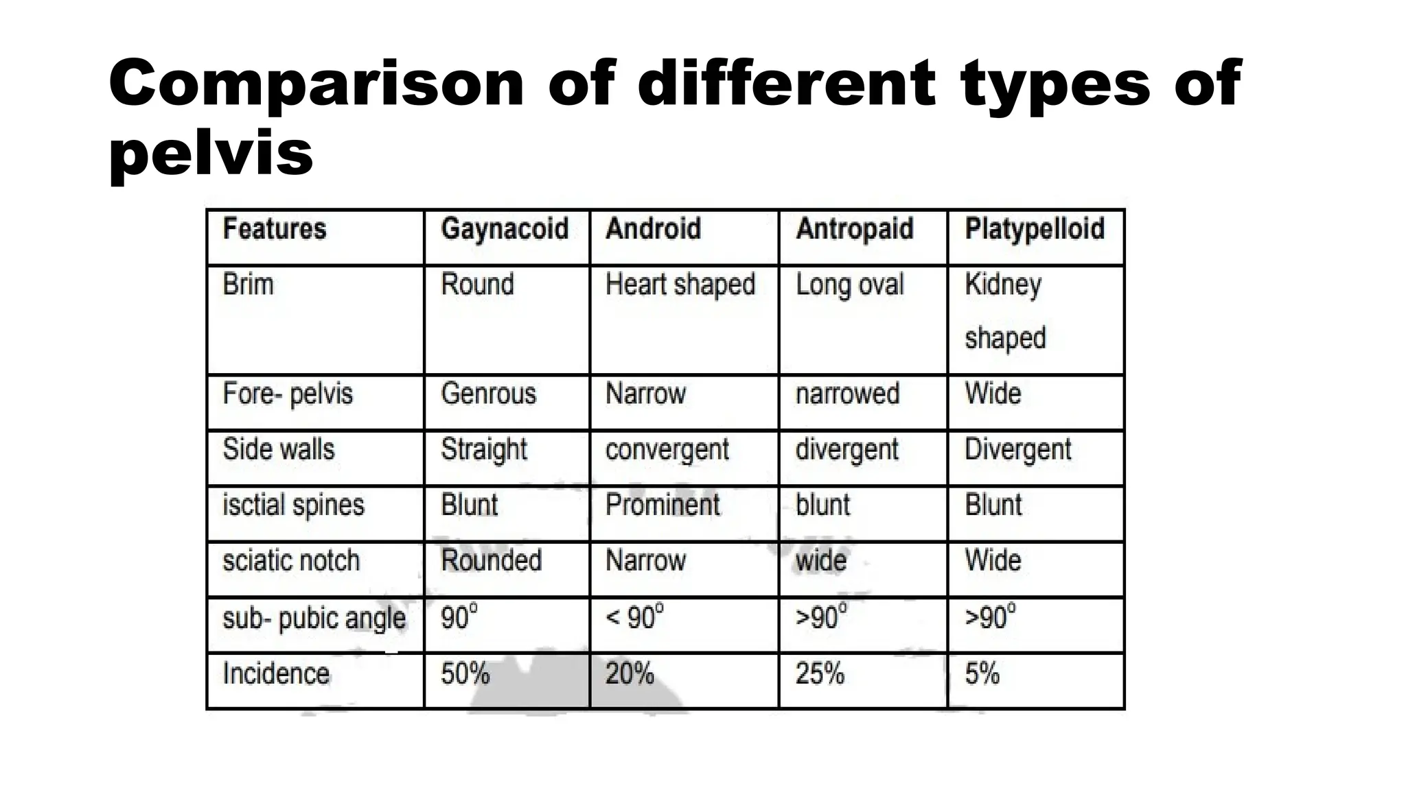 ANATOMY OF THE FEMALE PELVIS Current.ppt
