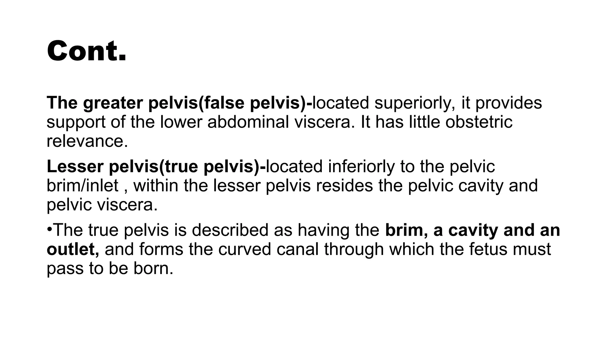 ANATOMY OF THE FEMALE PELVIS Current.ppt