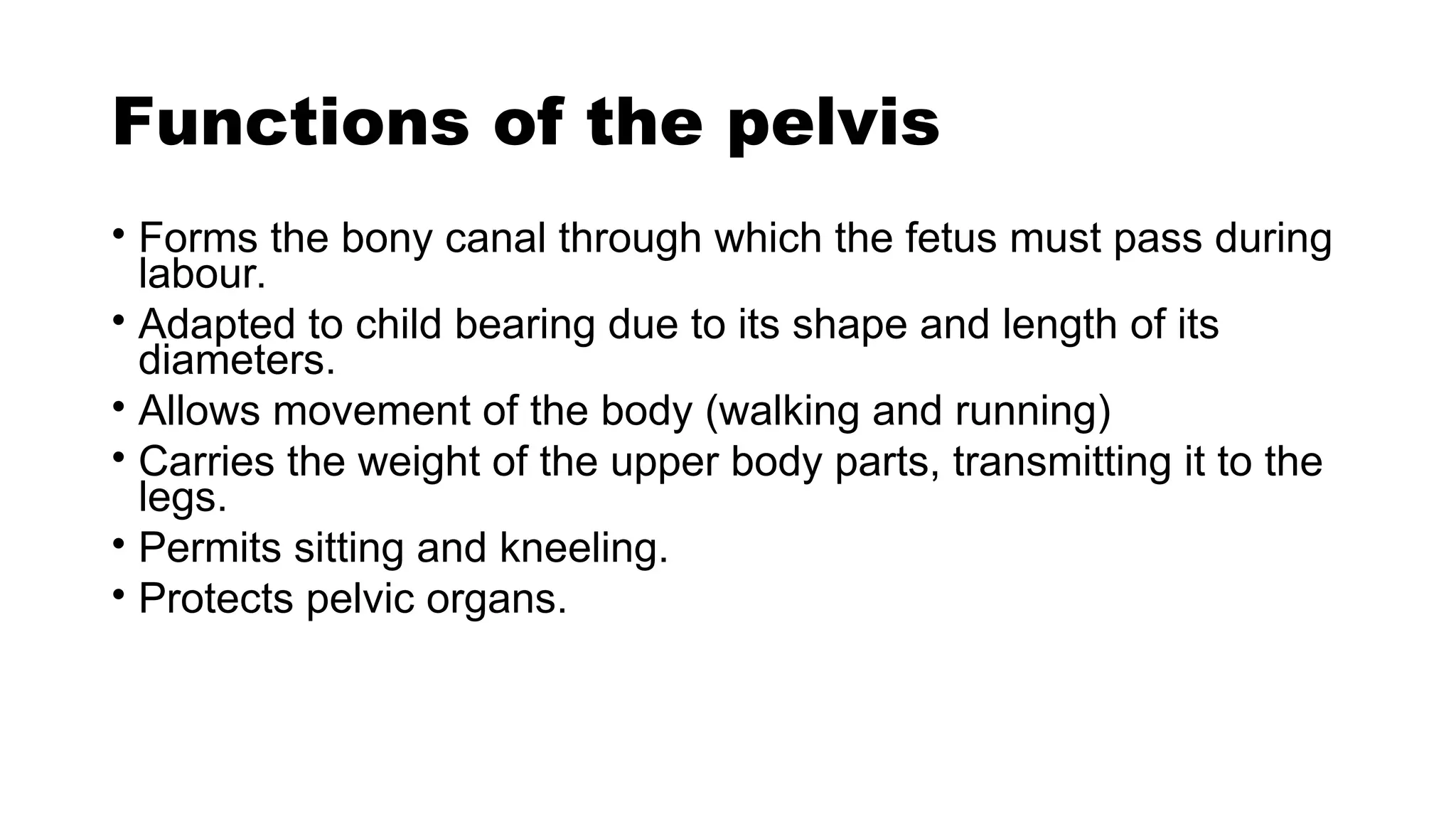 ANATOMY OF THE FEMALE PELVIS Current.ppt