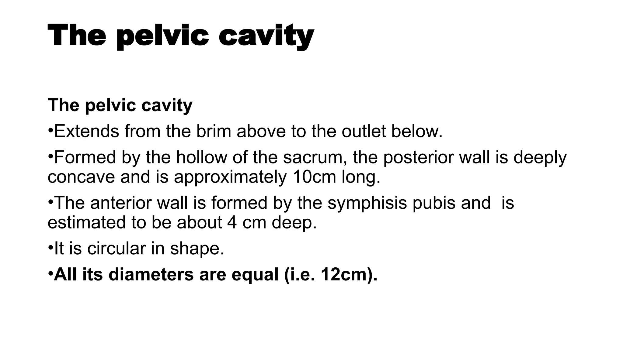 ANATOMY OF THE FEMALE PELVIS Current.ppt