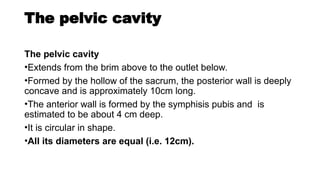 ANATOMY OF THE FEMALE PELVIS Current.ppt