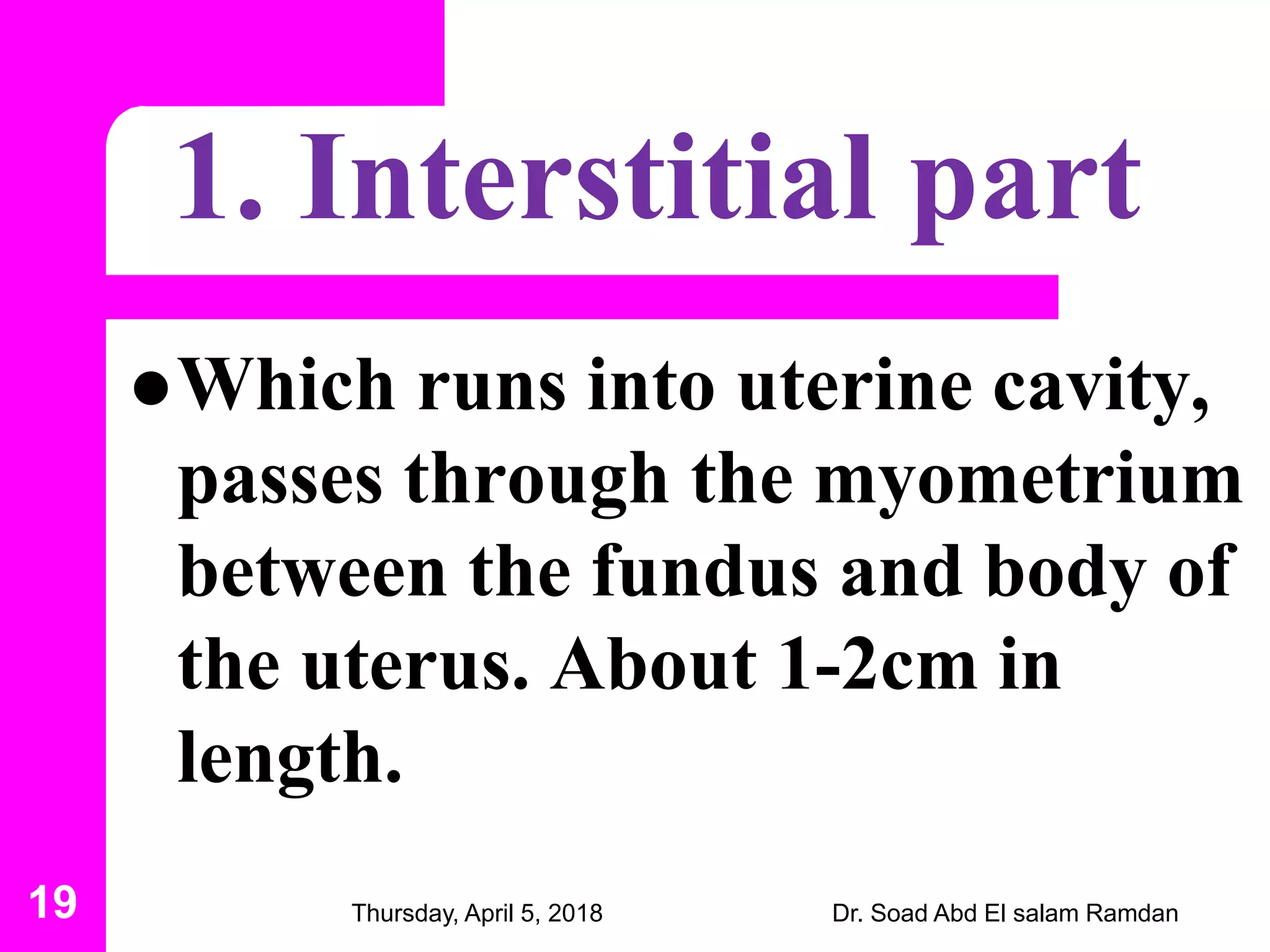 Anatomy of the female reproductive system | PDF
