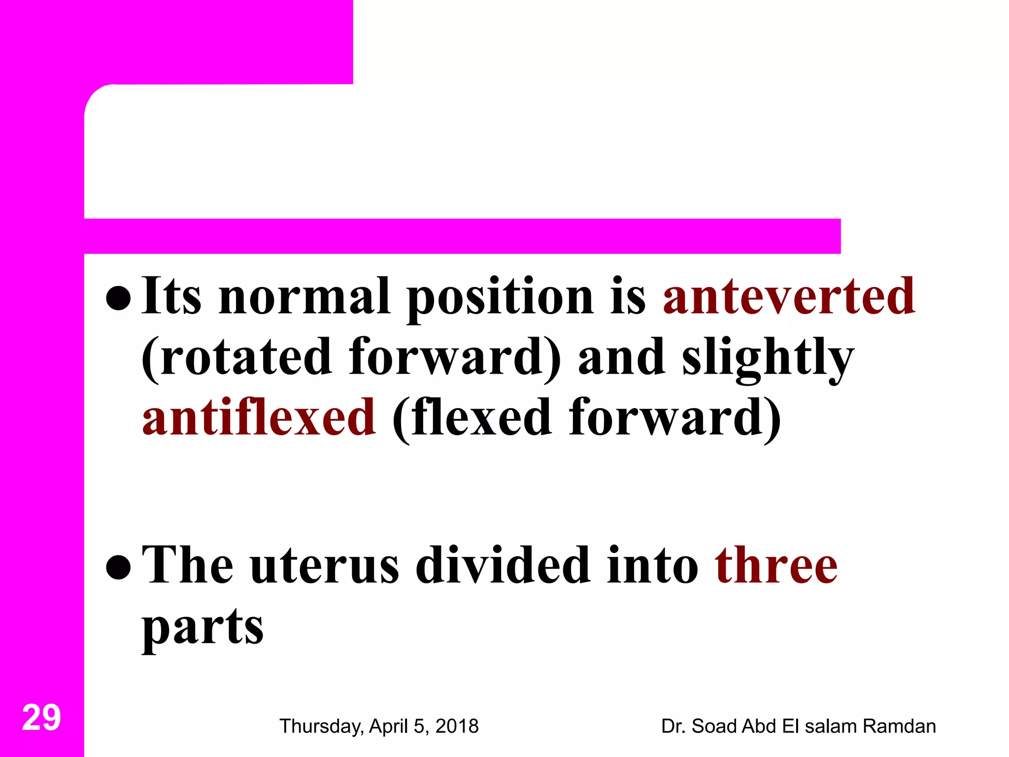 Anatomy of the female reproductive system | PDF