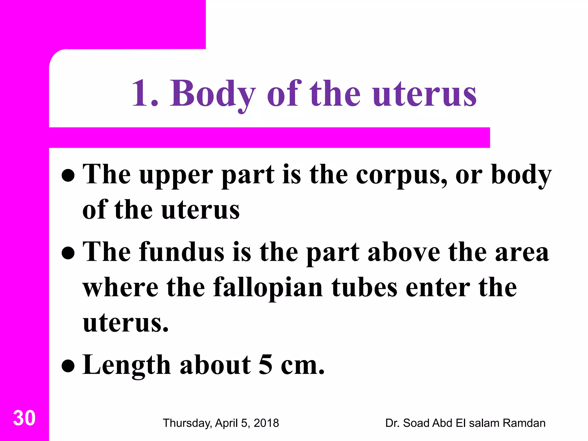 Anatomy of the female reproductive system | PDF