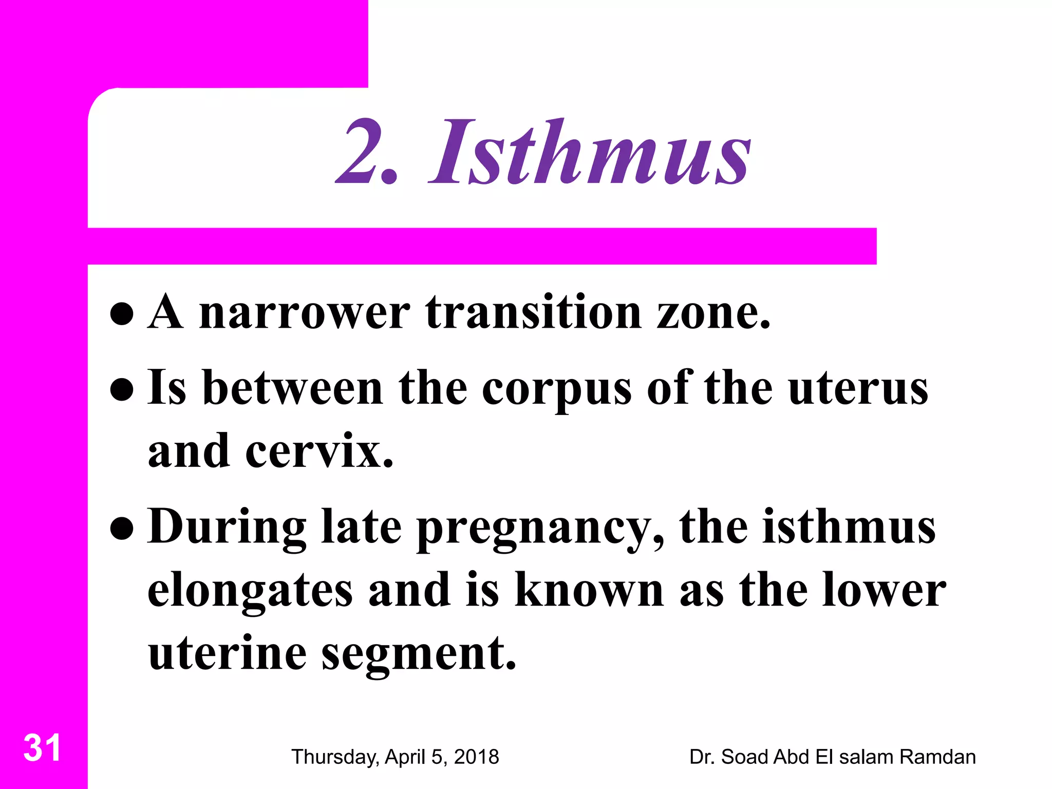 Anatomy of the female reproductive system | PDF