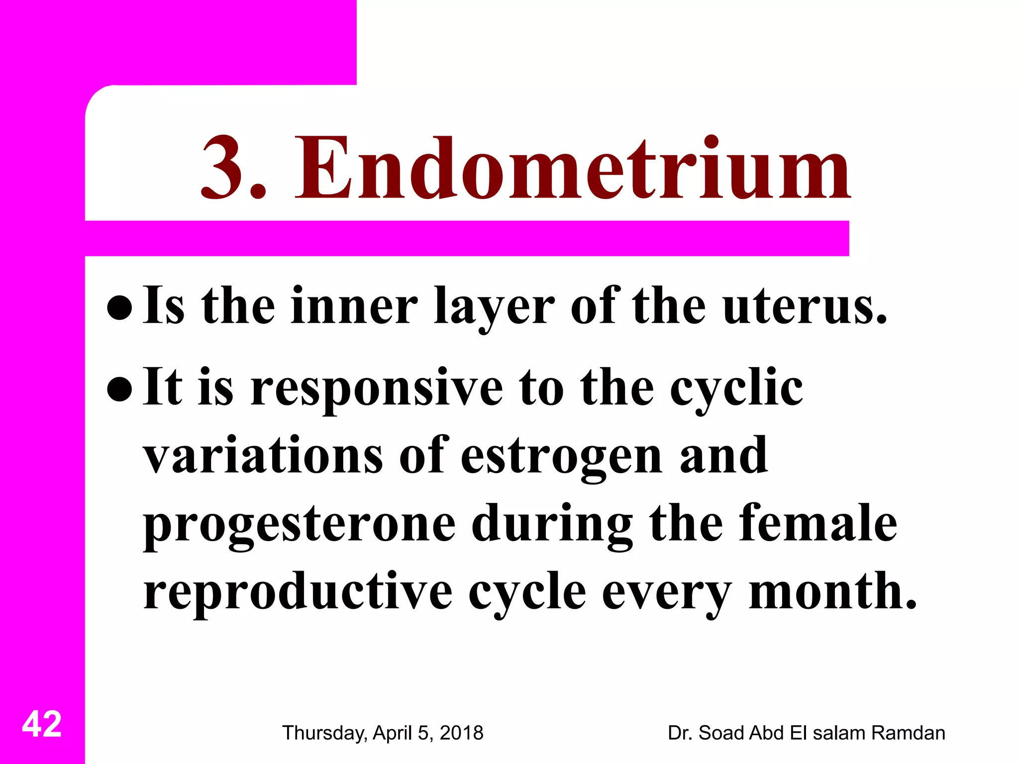 Anatomy of the female reproductive system | PDF