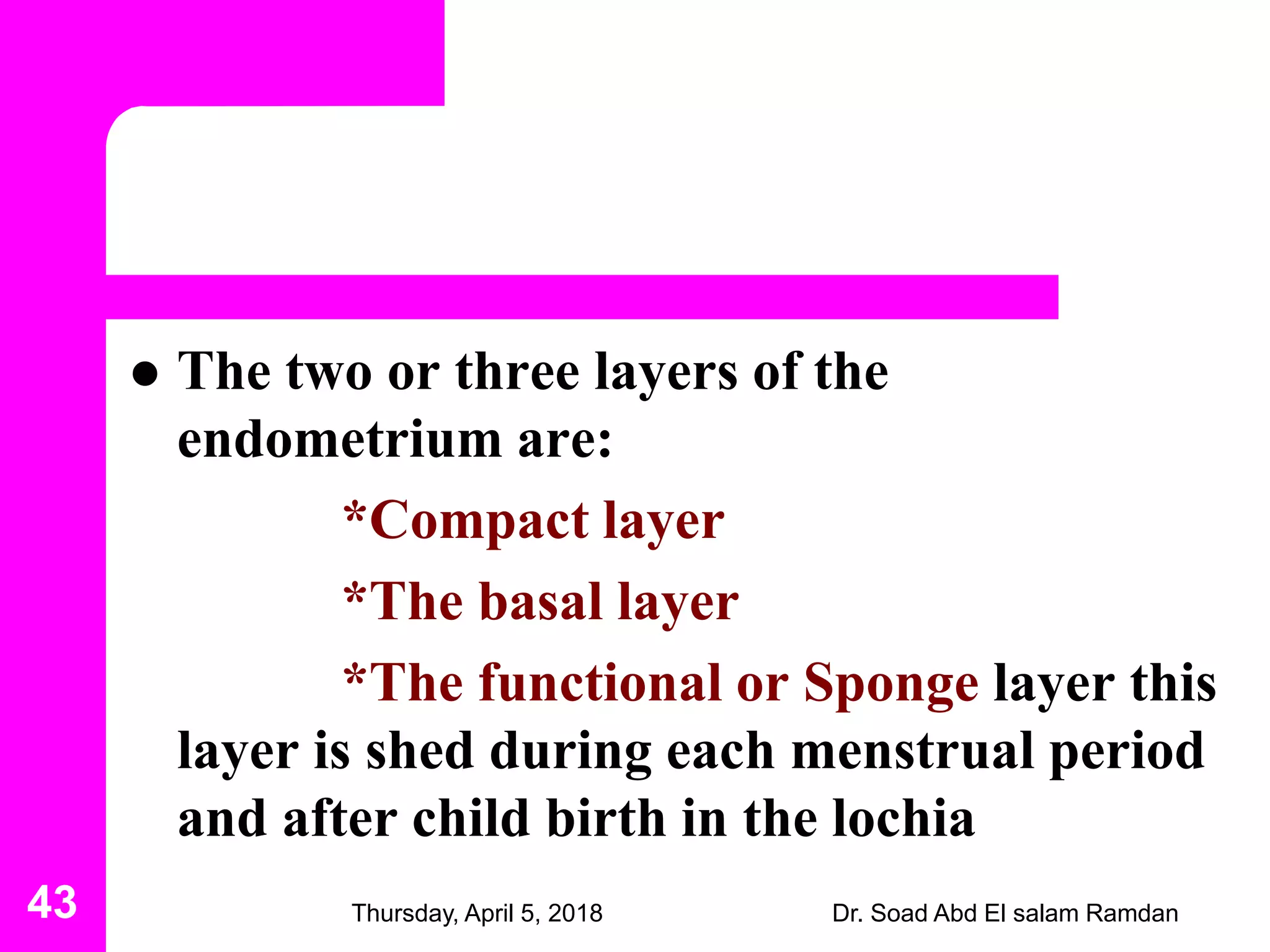 Anatomy of the female reproductive system | PDF