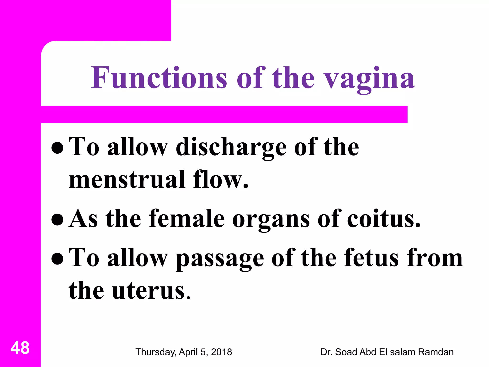 Anatomy of the female reproductive system | PDF